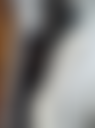 Mistress Silvia - Fanvue