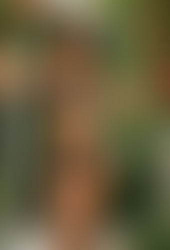 Annina Lacustrai - Fanvue