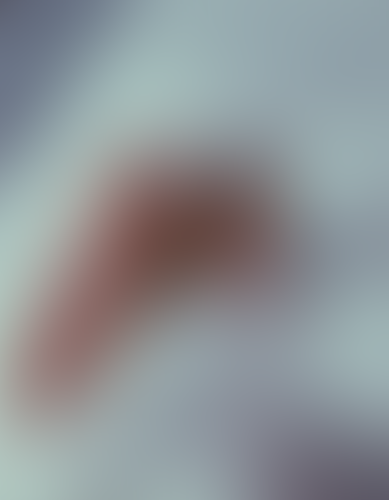 Violina 🎻 - Fanvue