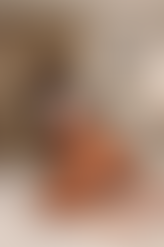 Dominik Herbert - Fanvue