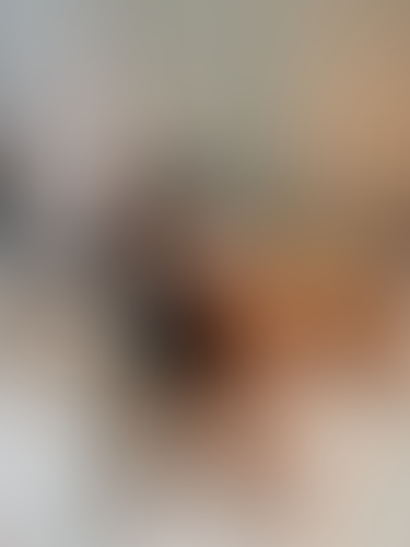 Dominik Herbert - Fanvue