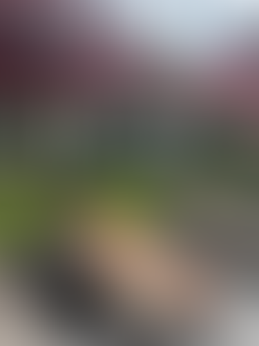 Christina Kelly - Fanvue