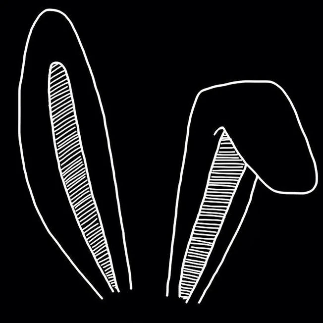 Bunni Winks Fanvue