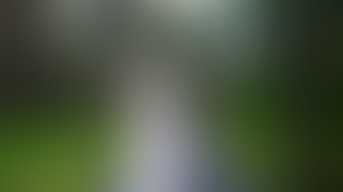 Fanvue - Connect, Create and Earn with your fans