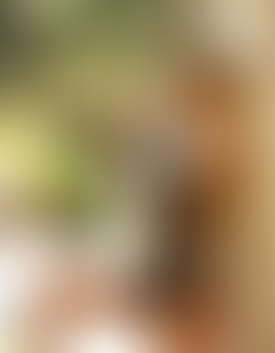 Sally Larsen - Fanvue