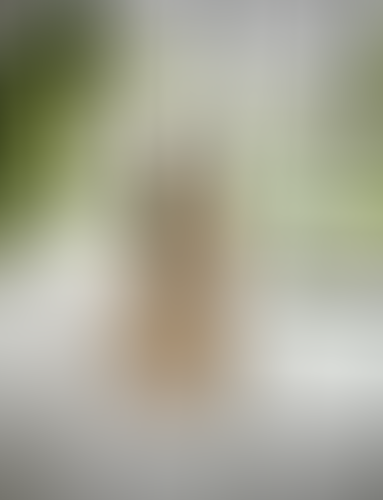 Valentina Valiente - Fanvue