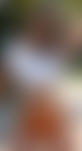 Lush Models - Fanvue