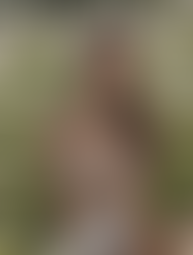 Sofia Müller - Fanvue