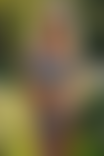 Elsa Nyberg - Fanvue