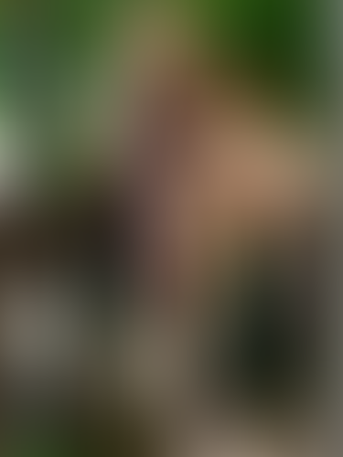 Daisy Linde - Fanvue