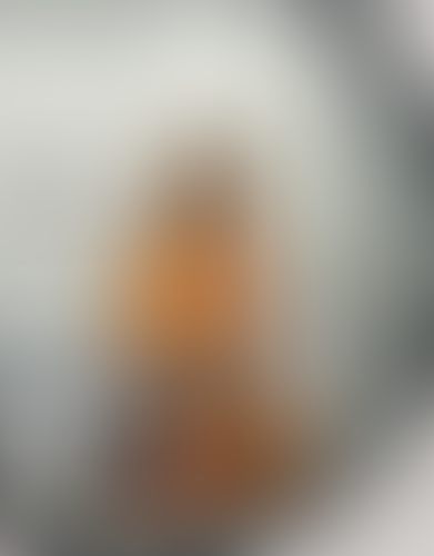 Sofia Beckham - Fanvue